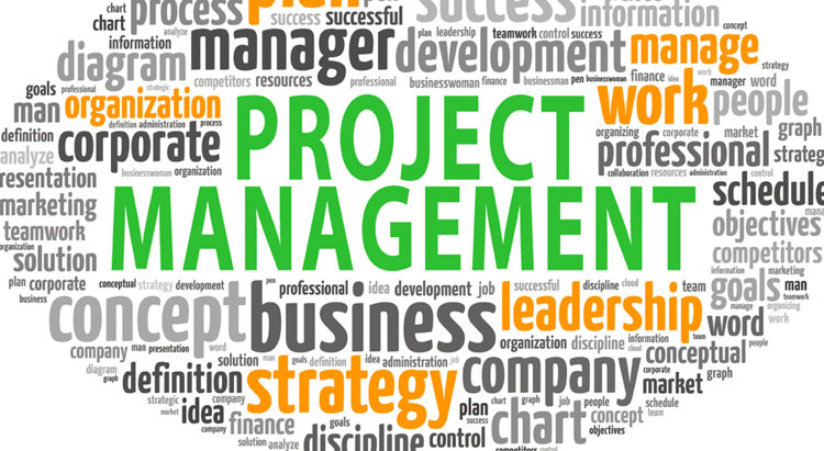 CATEGORY: PROJECT MANAGEMENT | TRG MultiMedia